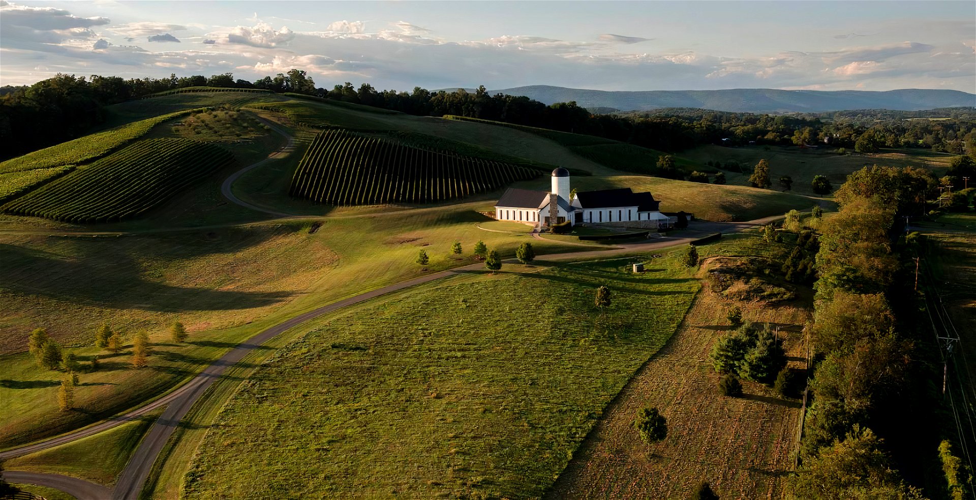 Virginia Vineyards | LuxGive